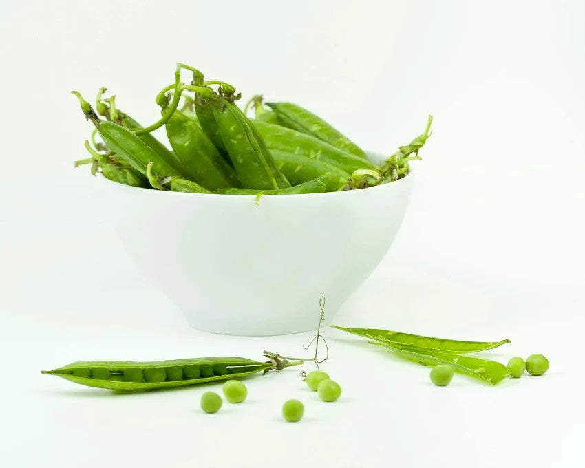 Pea Extract: A Plant-Based Supporter of Firmness, Elasticity, and Skin